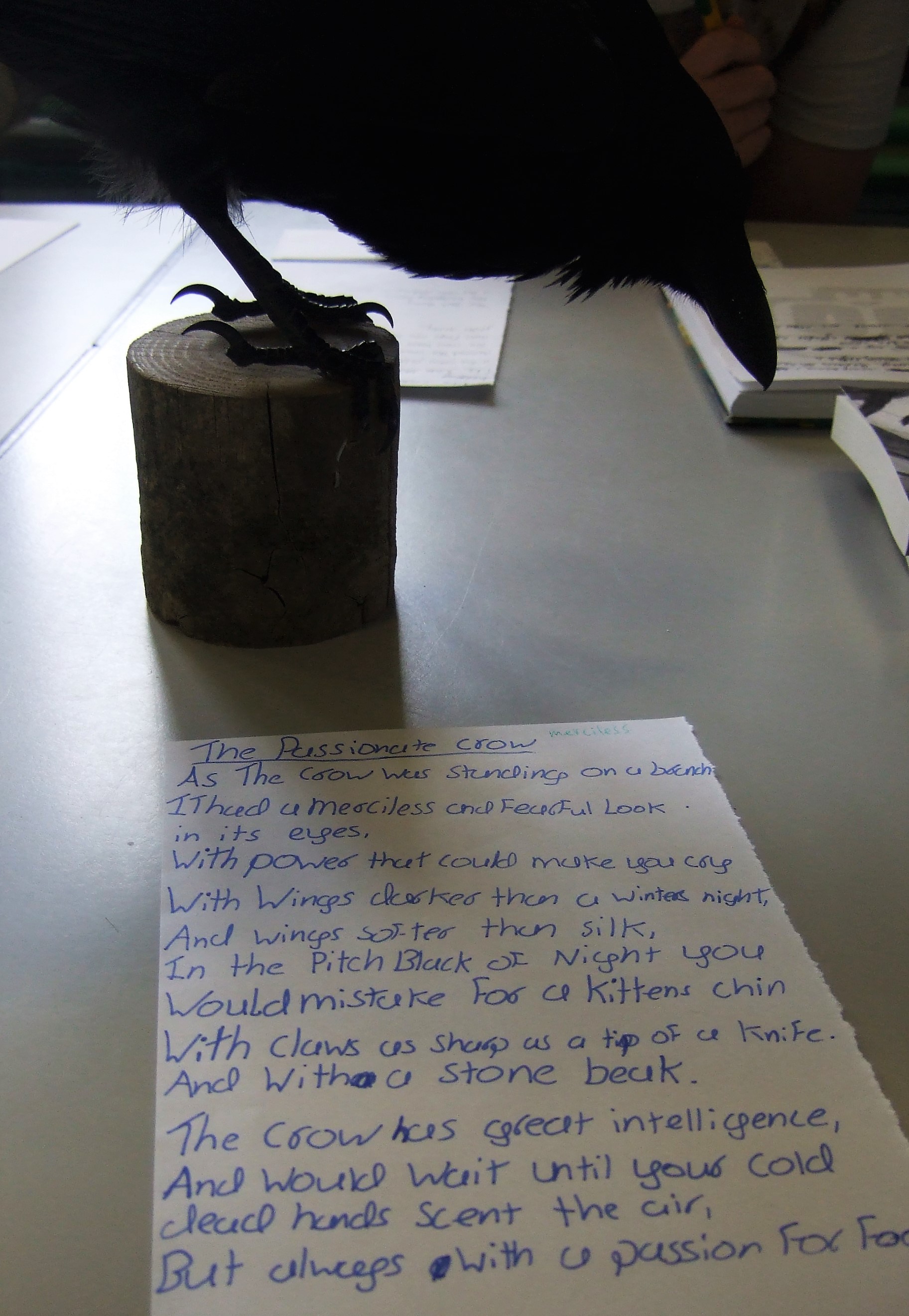 ‘Around the Crow the weather’ – JEAN ATKIN