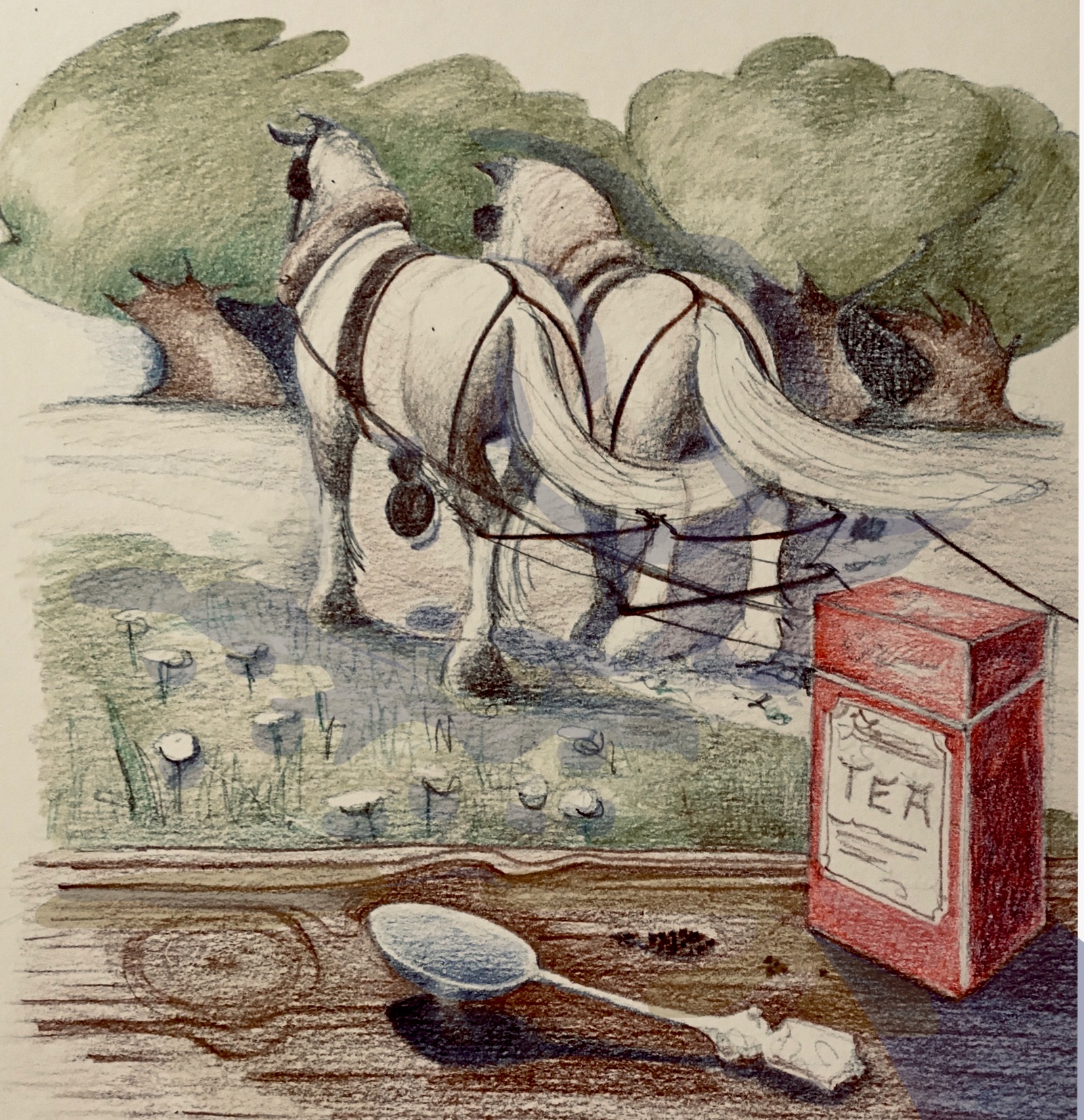 A New Collaboration – JEAN ATKIN