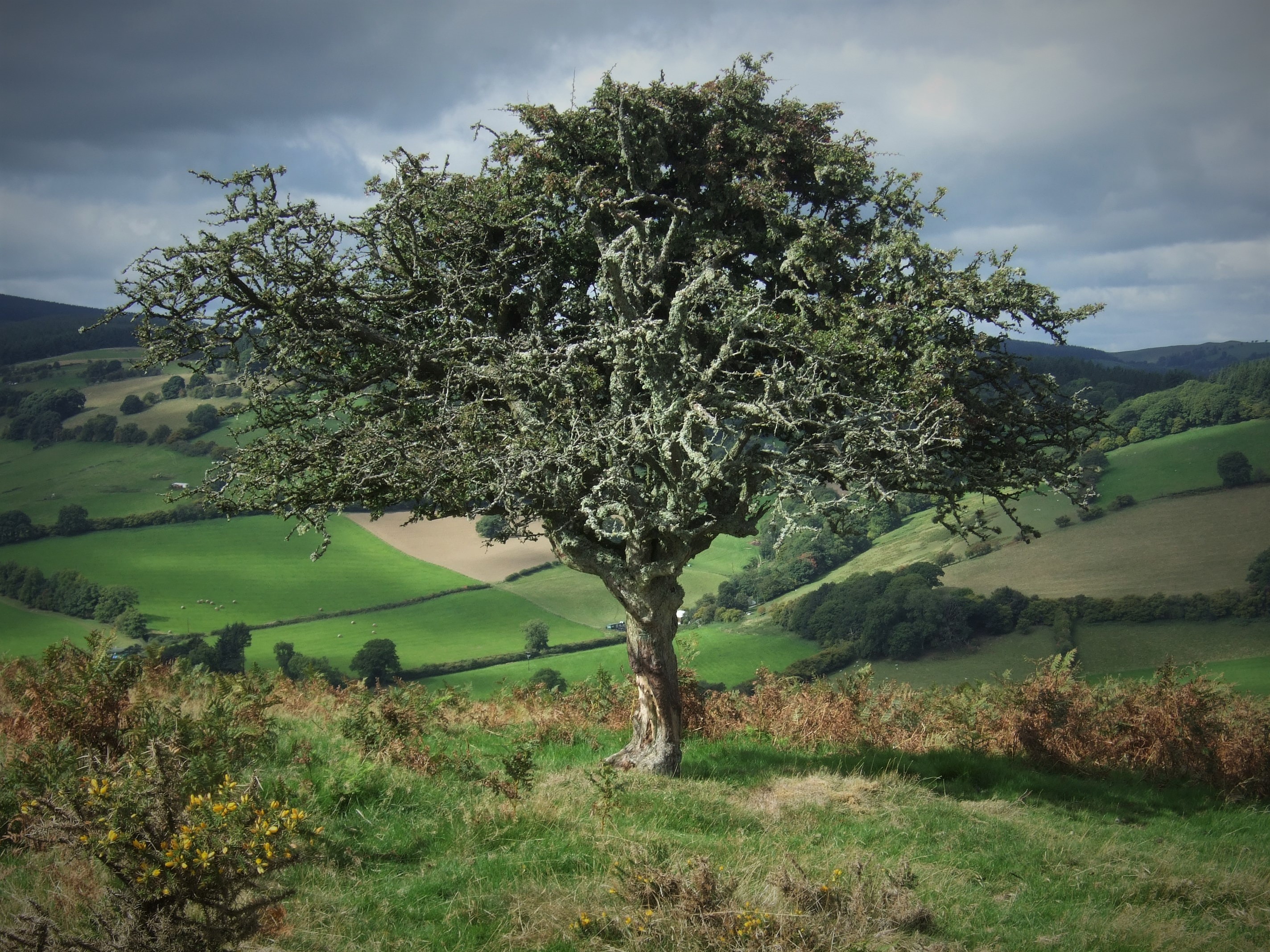 Commissioned poem for Herefordshire film – JEAN ATKIN